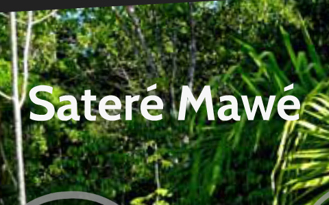 Sateré Mawé by marcela varela on Prezi