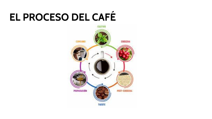El proceso del café by pedro antonio meseguer sanchez on Prezi