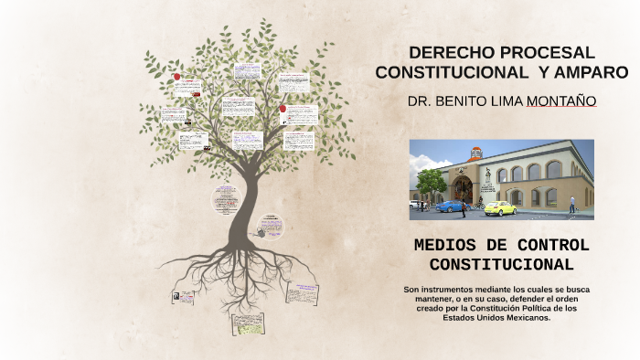 MEDIOS DE CONTROL CONSTITUCIONAL by BENITO LIMA MONTAÑO on Prezi