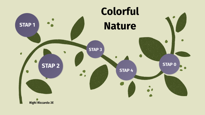 voedselpiramide by Righi Riccardo on Prezi