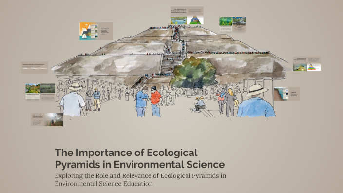 The Importance of Ecological Pyramids in Environmental Science by Subha ...