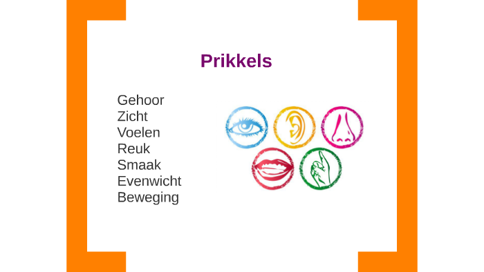 Sensorische Integratie by Mirthe Zom on Prezi
