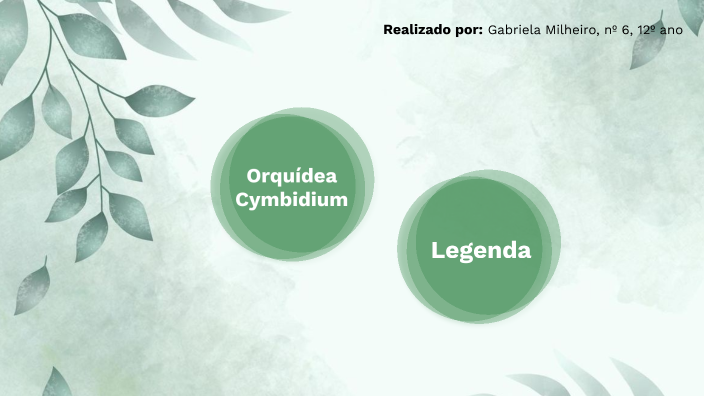 Legenda de uma flor by Gabriela Milheiro on Prezi