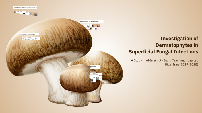 Investigation of Dermatophytes in Superficial Fungal Infections by zaid ...