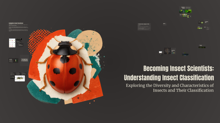 Becoming Insect Scientists: Understanding Insect Classification by ...