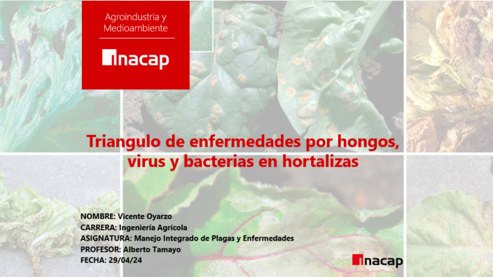 Triangulo MIPE by Vicente Oyarzo on Prezi