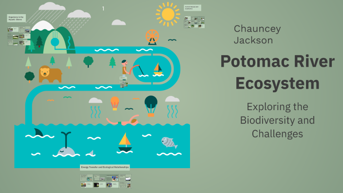 Potomac River Ecosystem by Chauncey Jackson on Prezi
