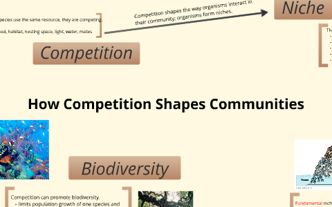 17.2 How Competition Shapes Communities by Jennifer Paschall on Prezi