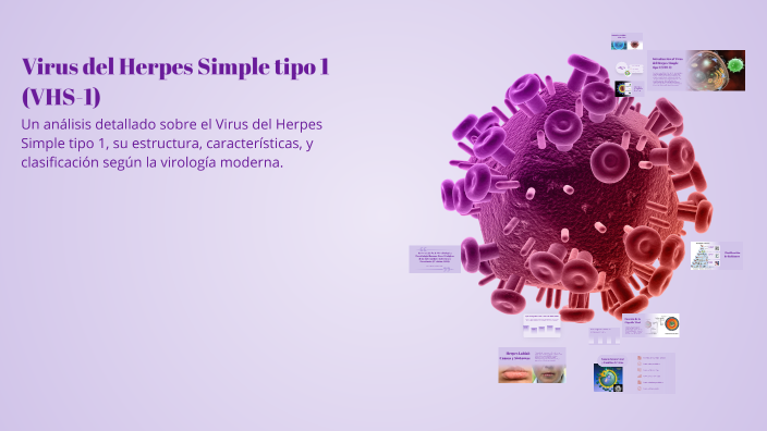 Virus del Herpes Simple tipo 1 (VHS-1) by karen diaz on Prezi