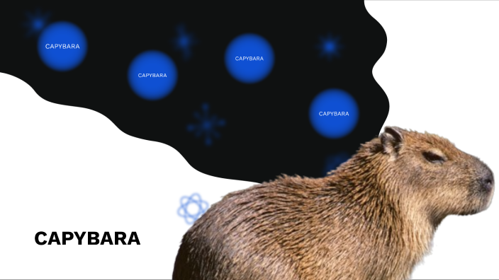 Capybara by Albert Li on Prezi