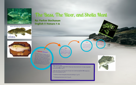 The Bass, The River, and Sheila Mant by Parker Buchanan on Prezi
