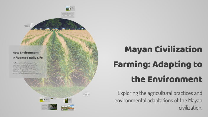 Mayan Civilization Farming: Adapting to the Environment by dalia shiber ...
