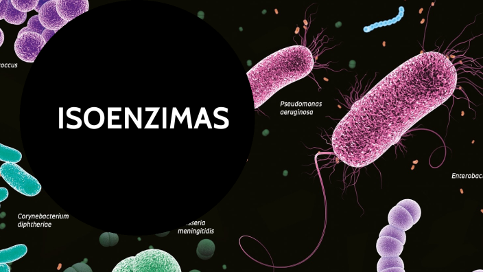 ISOENZIMAS by Pablo Philipy on Prezi