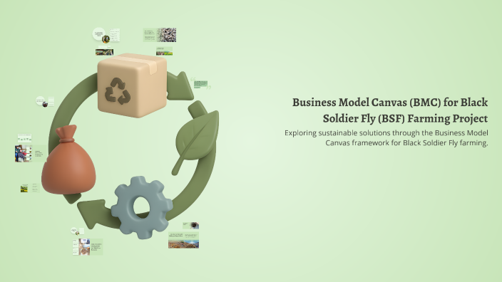 Business Model Canvas (BMC) for Black Soldier Fly (BSF) Farming Project ...