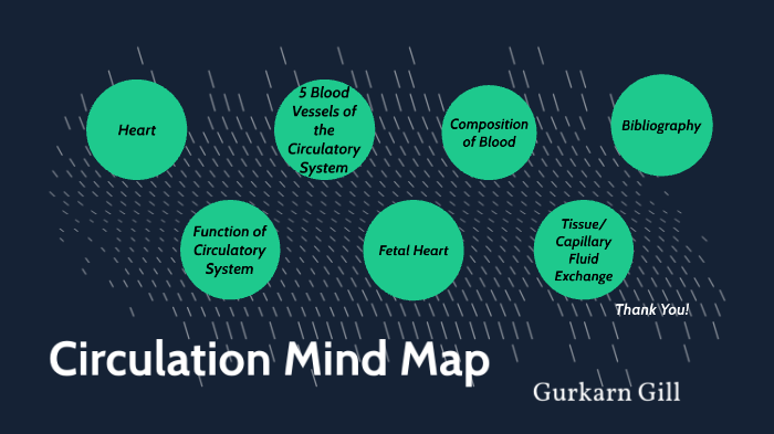 Circulation Mind Map by Gurkarn Gill on Prezi