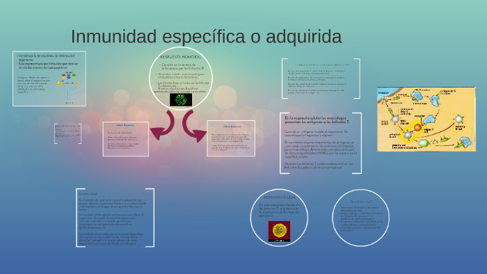 Inmunidad específica o adquirida by Fatima García Olea on Prezi