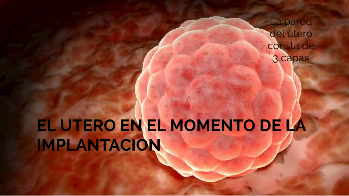EL ÚTERO EN EL MOMENTO DE LA IMPLANTACIÓN by kevin astorga marquez on Prezi