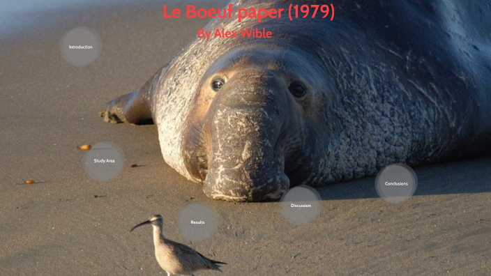 Le Boeuf paper (1979) by Alex Wible on Prezi