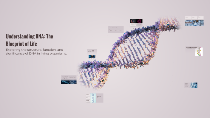 Understanding DNA: The Blueprint of Life by Victoria Stiller on Prezi