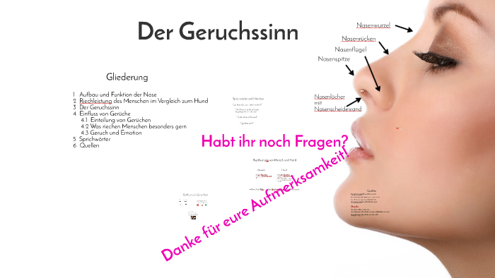 Geruchssinn by Ben Ruhland on Prezi
