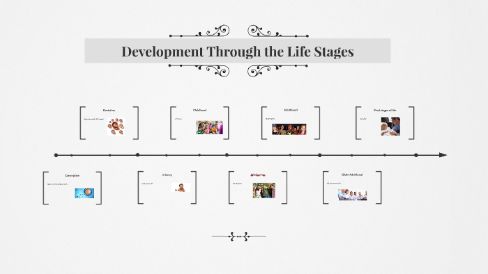 Development Through the Life Stages by Jen Willis on Prezi