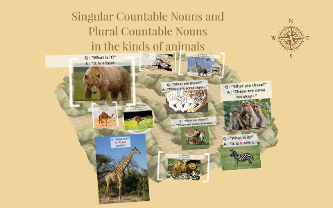 Singular Countable Nouns by Maria Christyana on Prezi