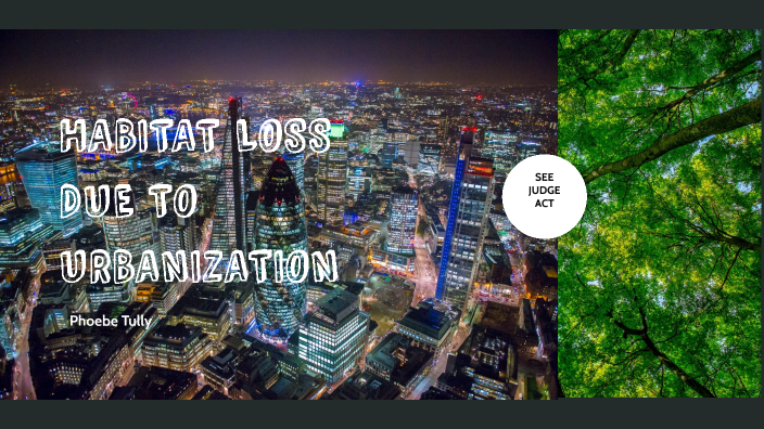 HABITAT LOSS DUE TO URBANISATION by Phoebe Tully on Prezi
