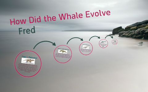 How Does Whale Evolve by 원익 장 on Prezi