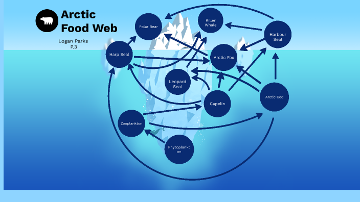 Arctic Food Web by Logan Parks on Prezi