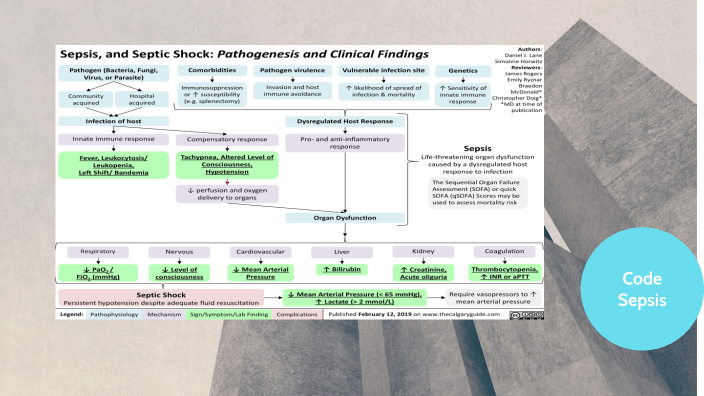 Sepsis, and septic shock: pathogenesis and clinical findings by David ...