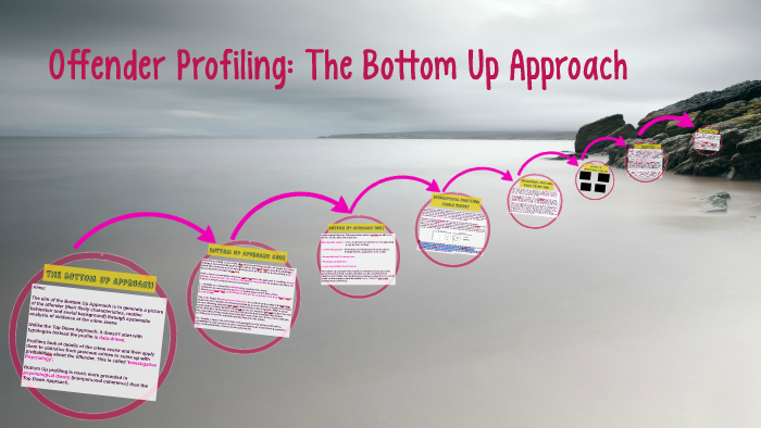 Offender Profiling: The Bottom Up Approach by Lucy Tickle Offender Profiling: The Bottom Up Approach by Lucy Tickle