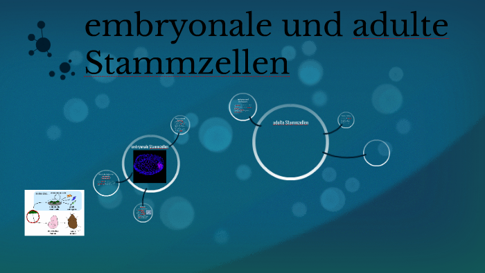 embryonale Stammzellen V by Fabian Jung on Prezi