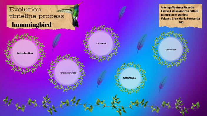 Evolution timeline process hummingbird by Arteaga Ventura Ricardo on Prezi