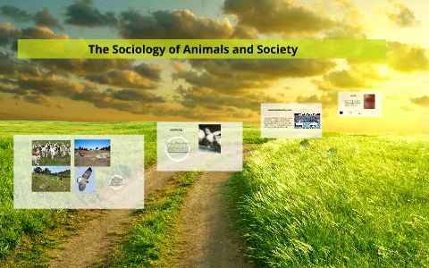 The Sociology of Animals and Society by on Prezi