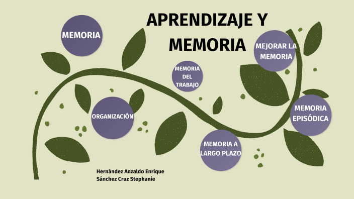 Aprendizaje Y Memoria By Enrique Hernández Anzaldo On Prezi