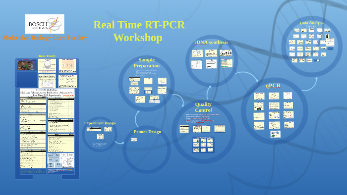 2016 Real Time PCR Workshop by Donna Lai on Prezi