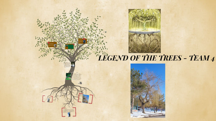 legend of the trees by naciye akgül on Prezi
