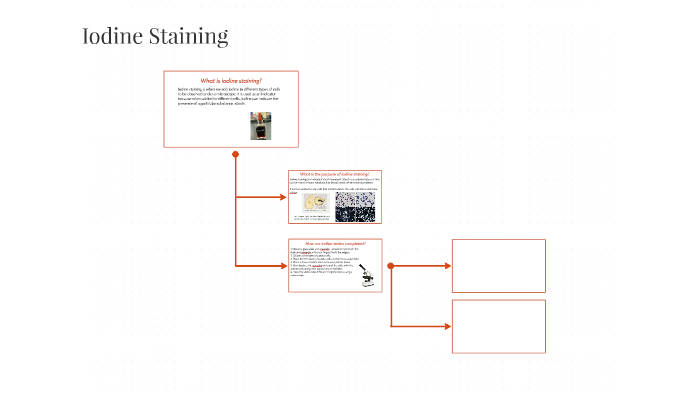 Iodine Staining by Duy Nguyen on Prezi