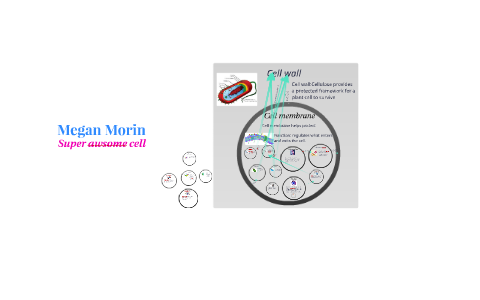 Cell membrane by megan morin on Prezi