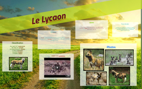 Le Lycaon by Élisabeth Blais on Prezi