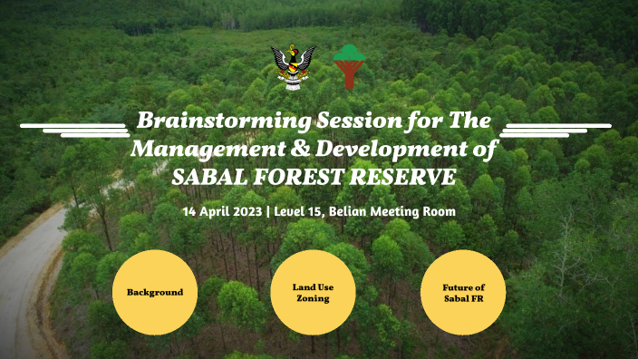 Brainstorming Session for Sabal FR Development by Sharifah Khadijah on Prezi