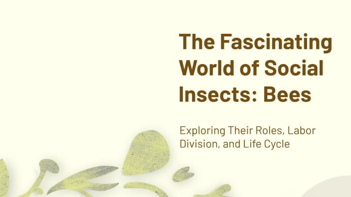 The Fascinating World of Social Insects: Bees by POWERPOINT DAV on Prezi