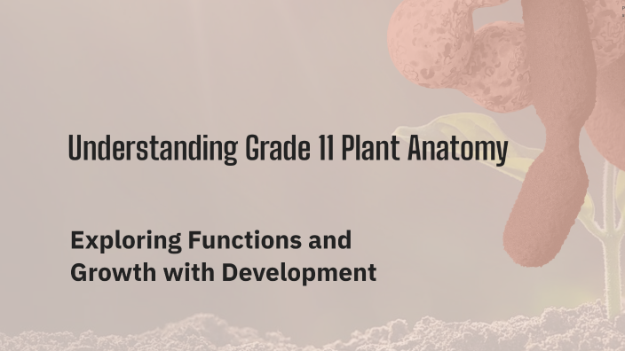 Understanding Grade 11 Plant Anatomy by Julie Tsang on Prezi