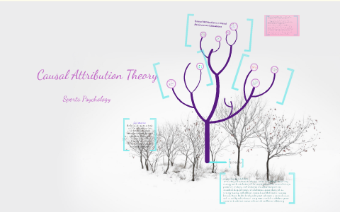 Causal Attribution Theory by Karen Festin on Prezi