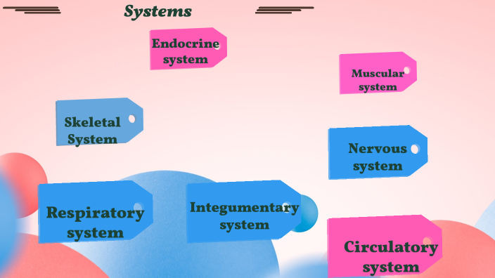 Systems by Collin Tran on Prezi