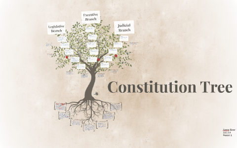 Constitution Tree by Soren Bear on Prezi