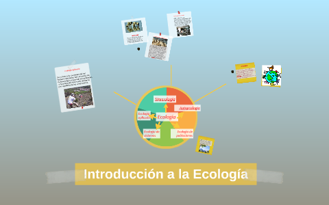 ECOLOGIA by Amanda Fajardo on Prezi