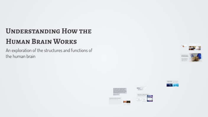 Understanding How the Human Brain Works by Jessie Williams on Prezi