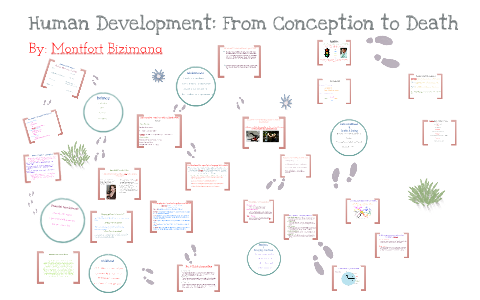 Human Development: From Conception to Death by Montfort Bizimana on Prezi