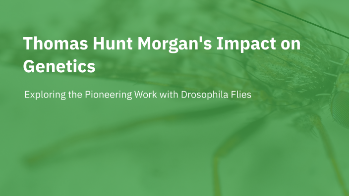 Thomas Hunt Morgan's Impact on Genetics by Charles Seabrook on Prezi